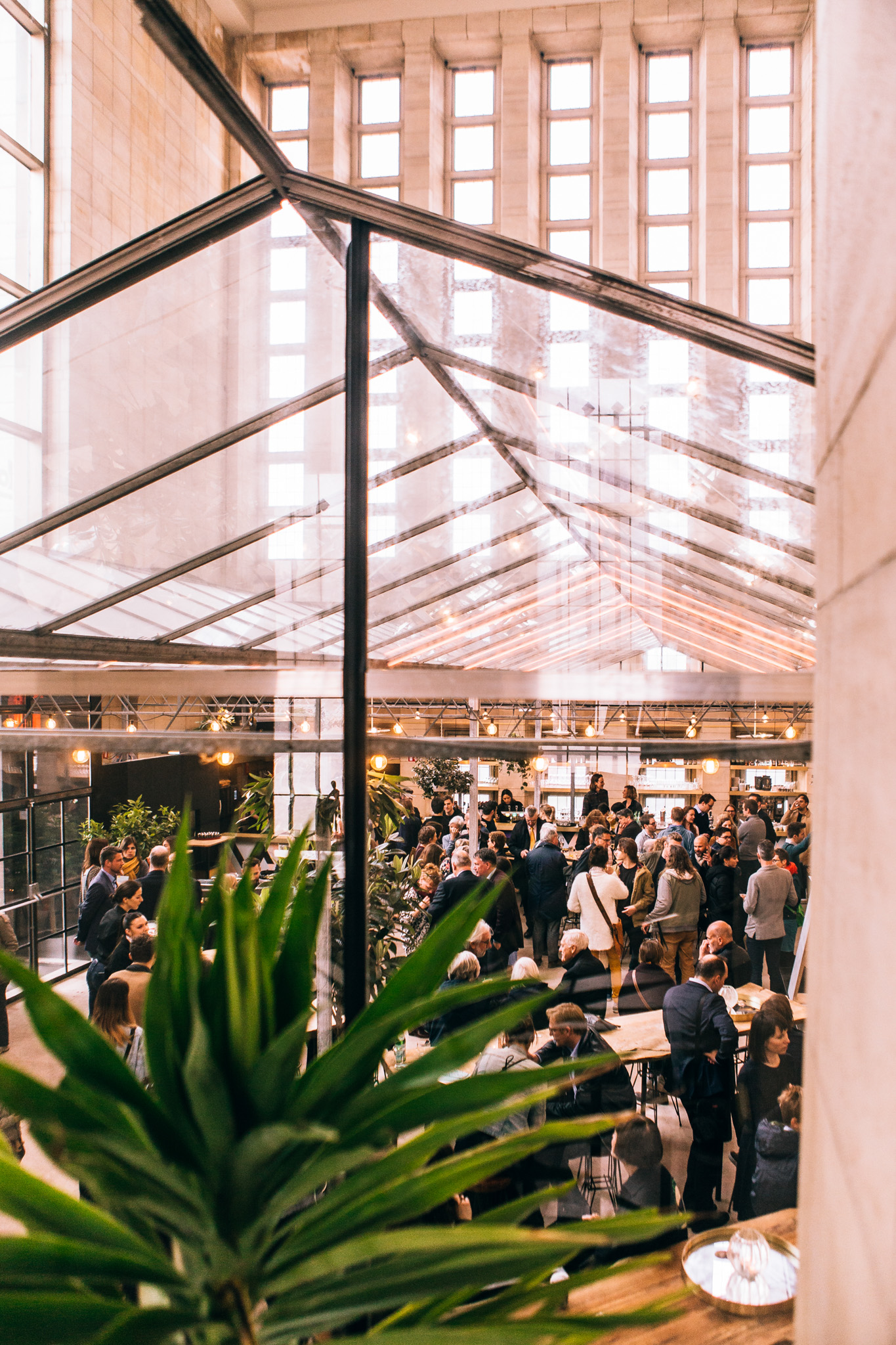 Greenhouse - Plein Publiek